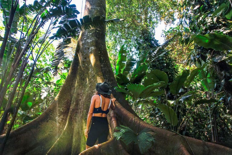 25 Best Things To Do in Bocas del Toro, Panama (A Local's Guide)